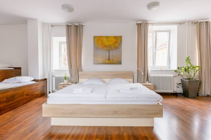 Apartment In The Old City With Free Parking - Eslovenia