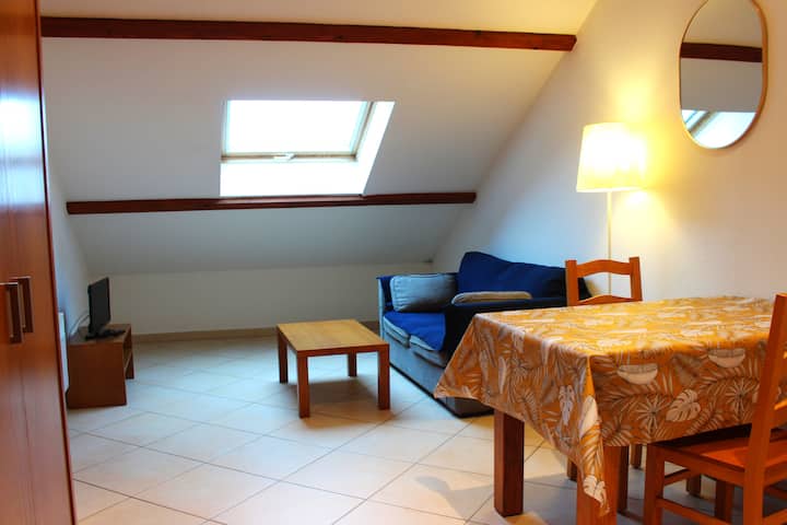 Appart Cosy T2 - 1-3 Pers. 35m² - Roissy Cdg - Tremblay-en-France