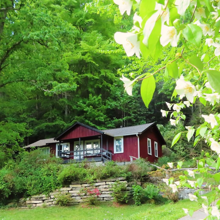 Longview Cabin - Brevard, NC