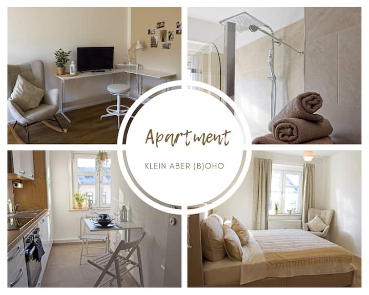 Dresden City Apartment Zum Wohlfühlen - Dresde