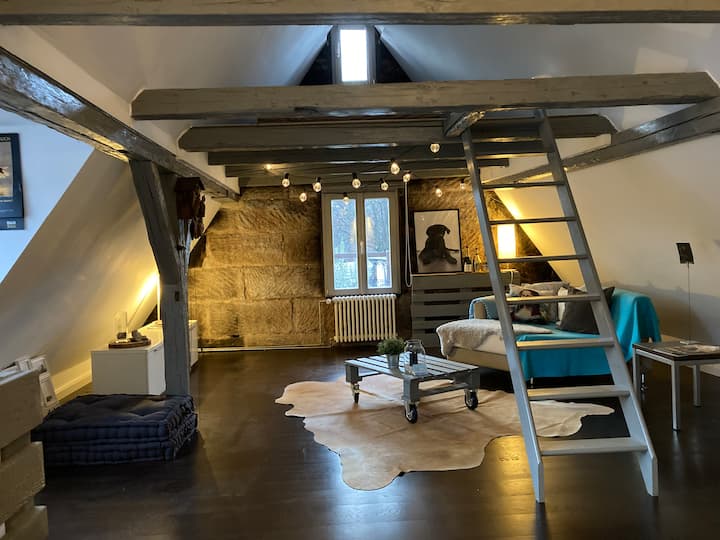 Historischer Dachboden In Sandsteinvilla Am Fluss - Nuremberg