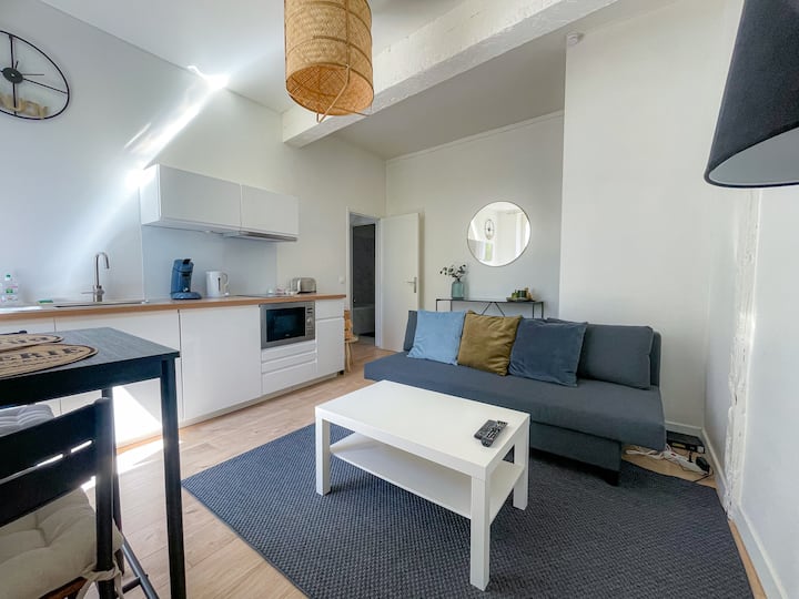 Le Bazacle - Sublime Logement En Hypercentre - Toulouse
