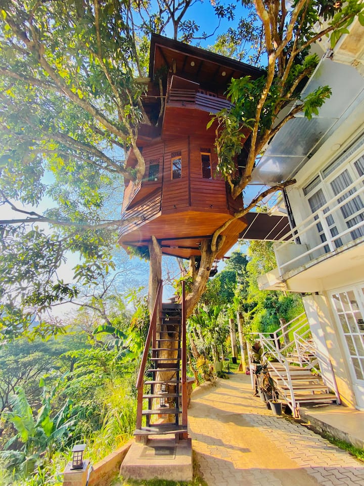 Kandy Tree House - Kandy