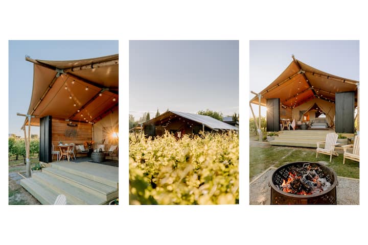 Glamping In The Vines - Pinot, Hastings/napier - Havelock North