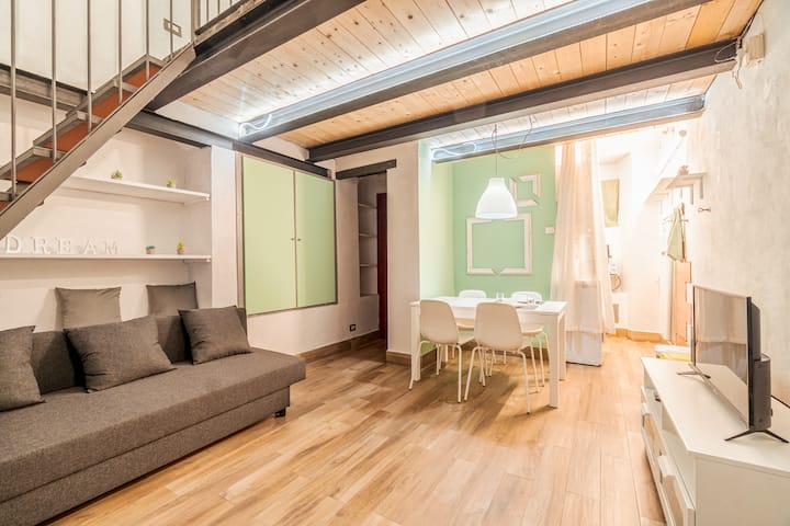 Loft In The Center Of Turin. - Turyn