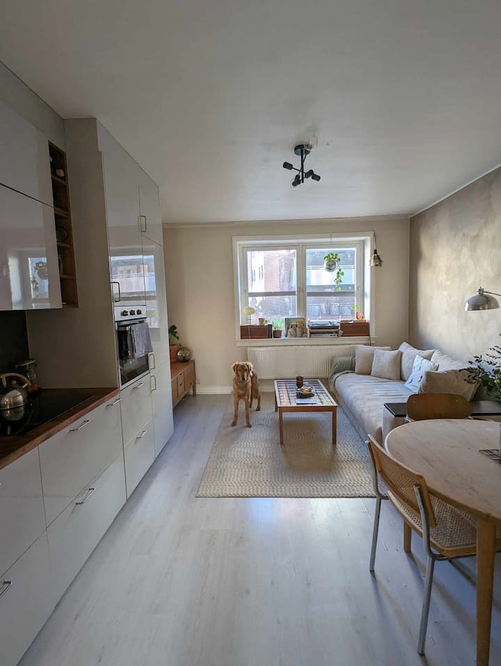 Central Tøyen Apartment - Oslo