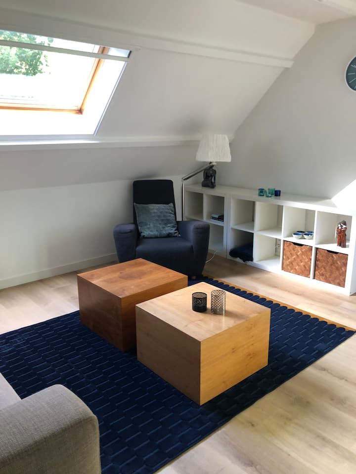 Appartement Aan De Rand Van Het Maxima Park - Utrecht