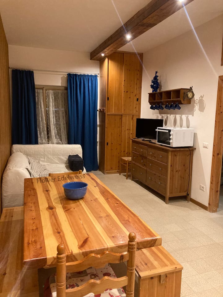 Flower Edelweiss - Barrea