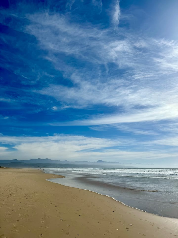 Periwinkle On Lookout Hill - Western Cape