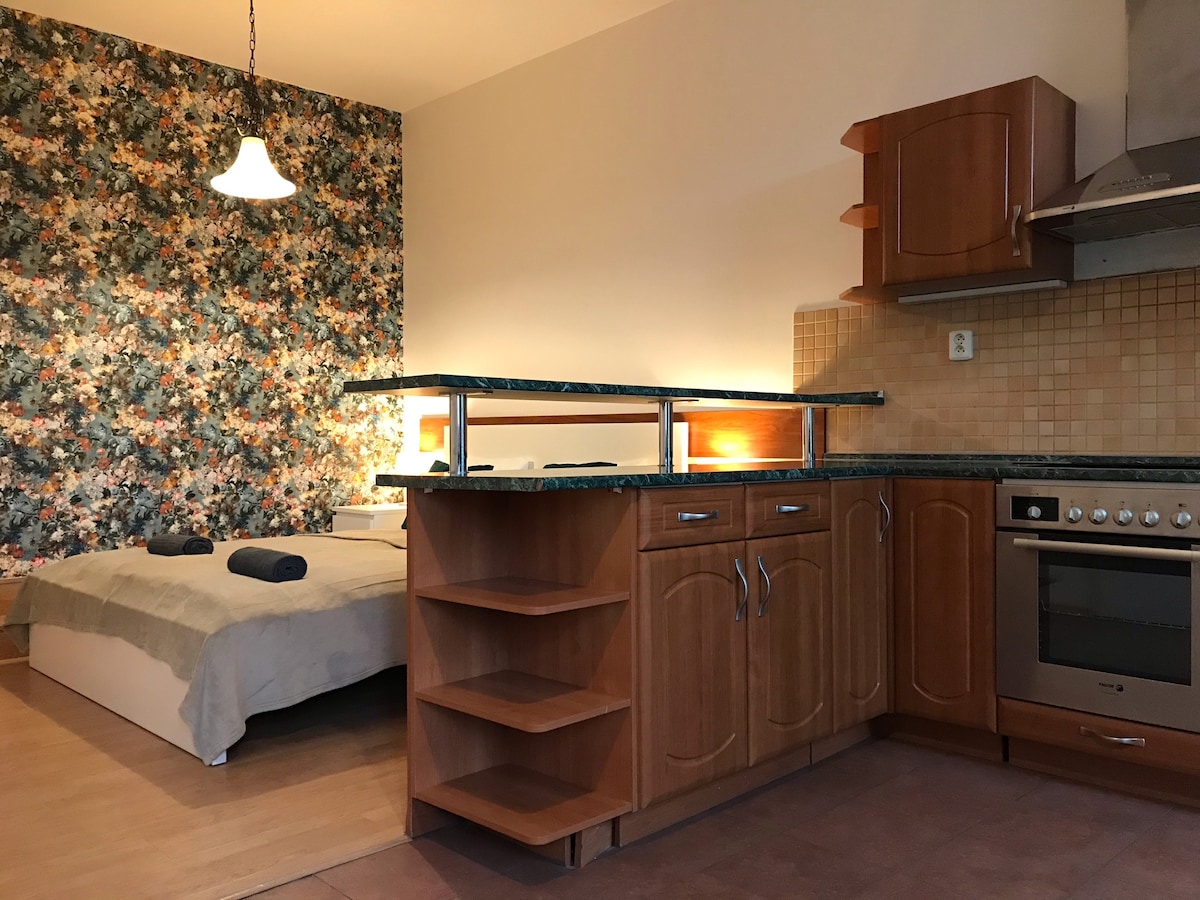 Izba v centre mesta! [Z8A] Vlastná kuchyňa! - Airbnb