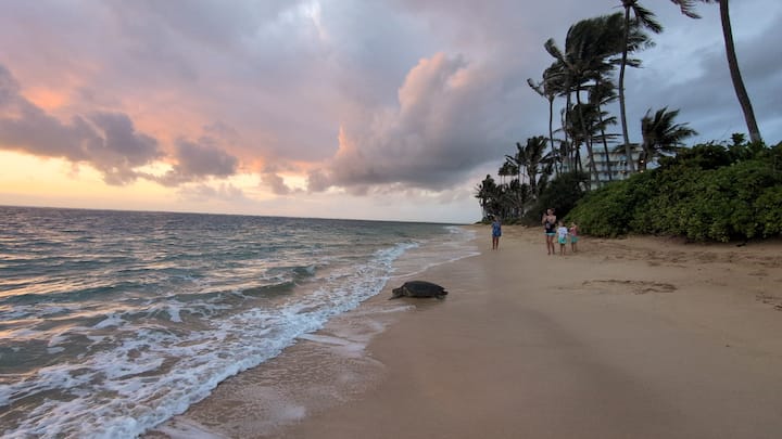 North Shore Turtle Cove - Beachfront Condo With Ac - Laie, HI