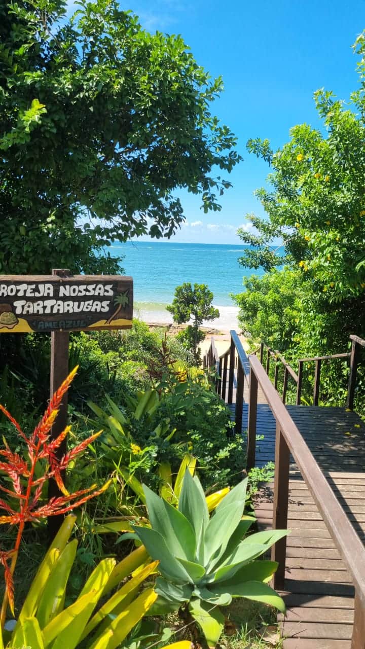 Ap Cond Village Dos Pássaros. - Brasil