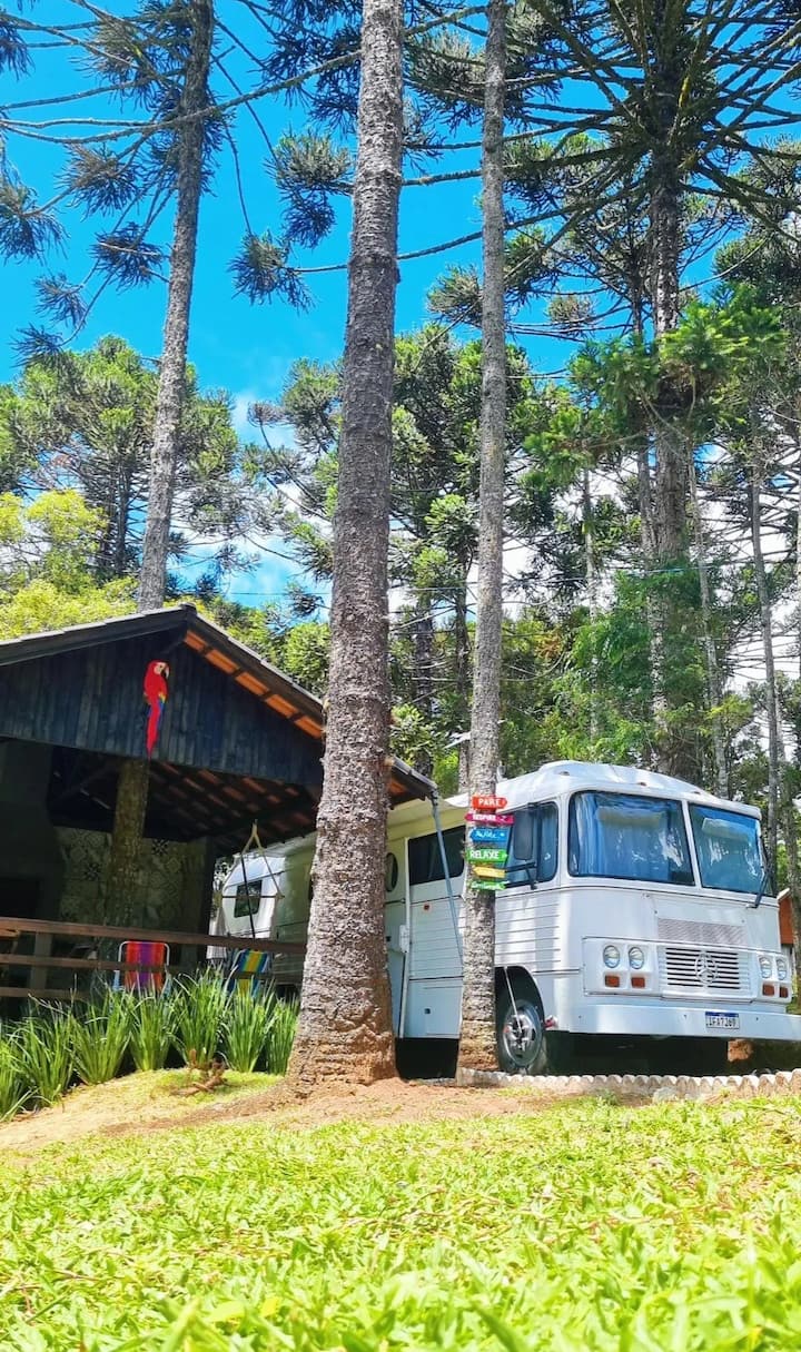 Motorhome Mercedes 1963 - Campo Alegre