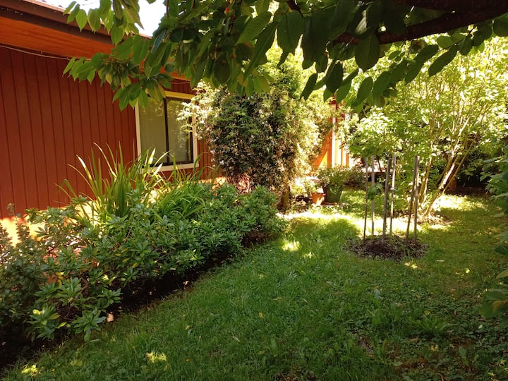 Central Cabin Steps From The Waterfront + Parking - Villarrica