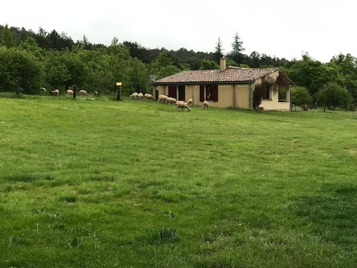 Maisonnette Dans Les Monts De Vaucluse. - Sault
