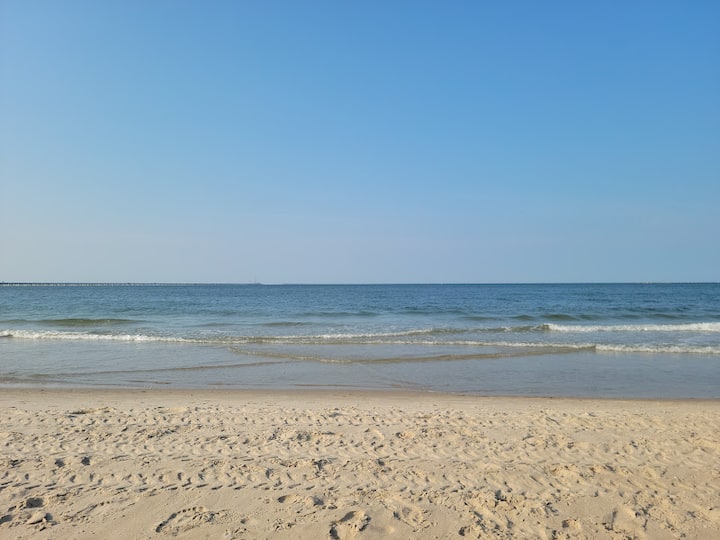 Enjoy Virginia Beach &  Living Like A Local! - Virginia Beach, VA