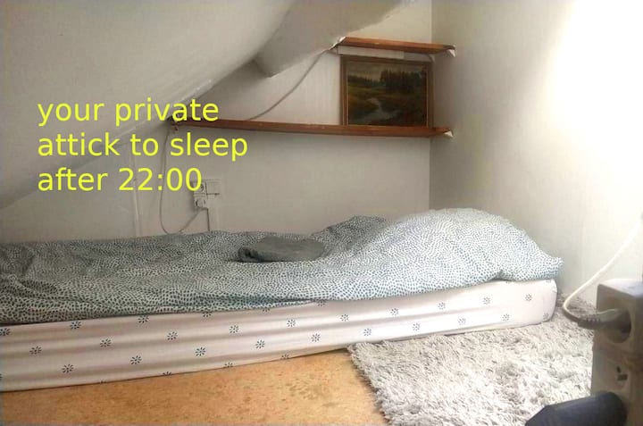 Tiny Attic To Sleep After 22:00 In A Shared Flat - Paris