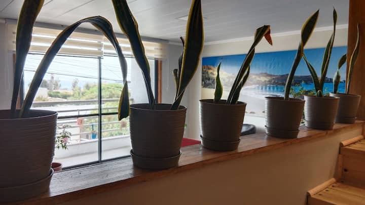 Habitacion 15 - Caldera