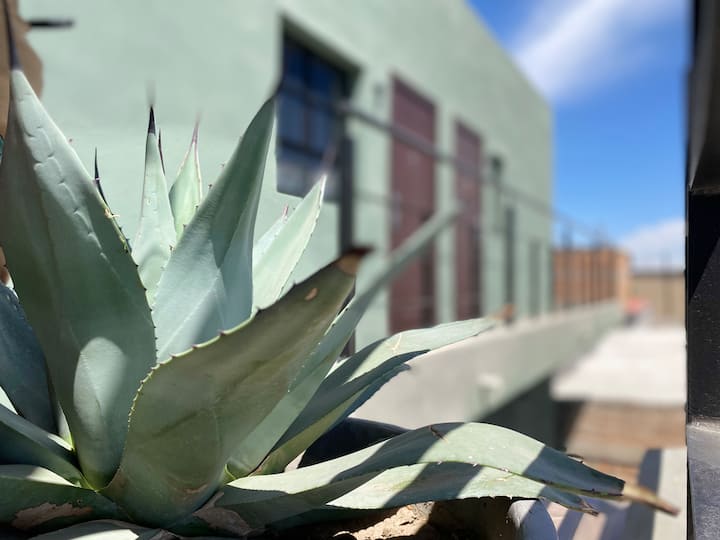 Departamento Texcoco A - Ciudad Juárez
