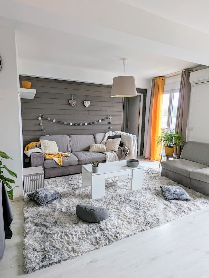 Appartement Cosy Et Chaleureux - 페르피냥