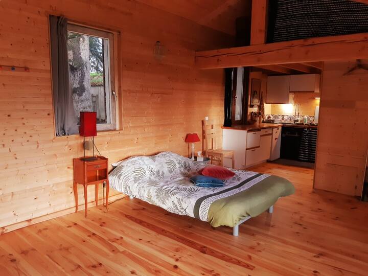 Loft Indépendant/résidence D'artiste Bord De Tarn - Rabastens