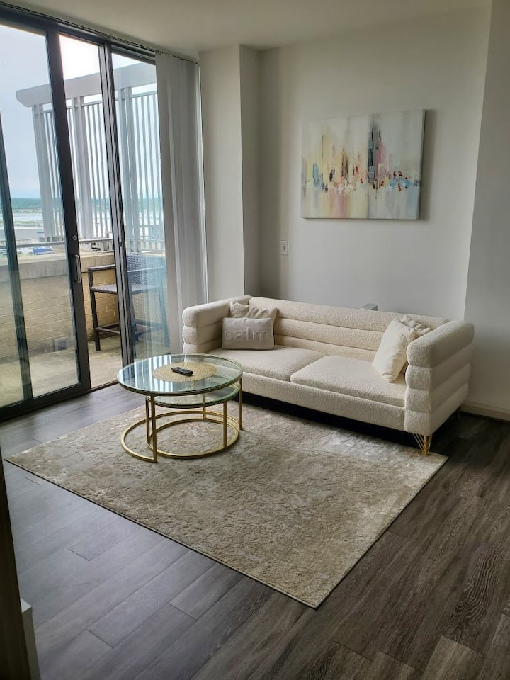 Entire Apartment By Crystal City 1br 1b - Alexandria, VA