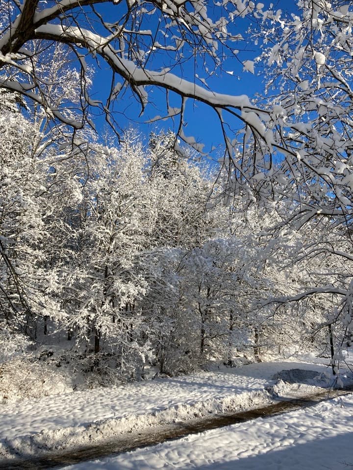 Idyllic House Just Outside The City Center! - Stockholm