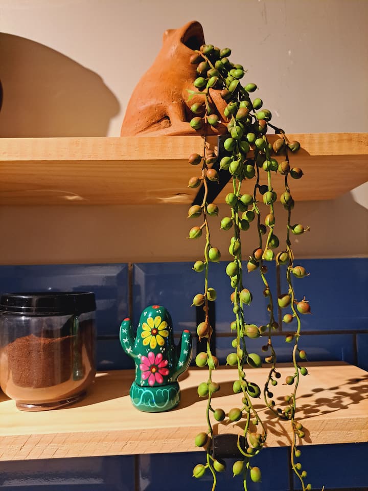 Studio Azul-maré - Circuito 2 Carnaval. - Salvador