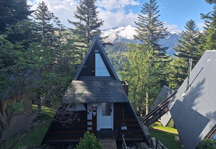 Agréable Chalet 42p - Guzet-Neige