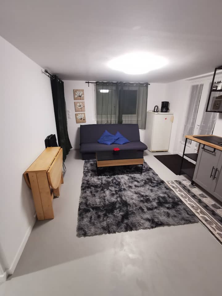 Appartement Lumineux, à 15 Min De Paris - Athis-Mons