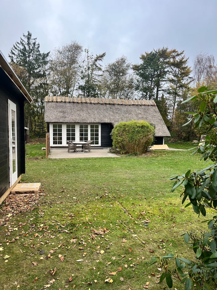 The Little Cottage - Gilleleje - Gilleleje