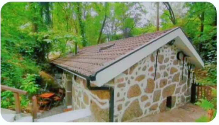 Molino De Rodizio
Apartamento Vacacional - Lousada