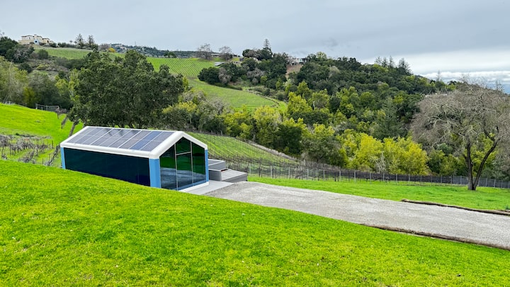 Silicon Valley Getaway. Forest, Lakeview & Hi-tech - Los Gatos, CA