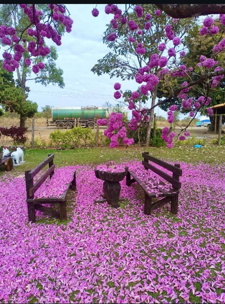 Village Anisia Sitio Proximo A Sete Lagoas - Sete Lagoas