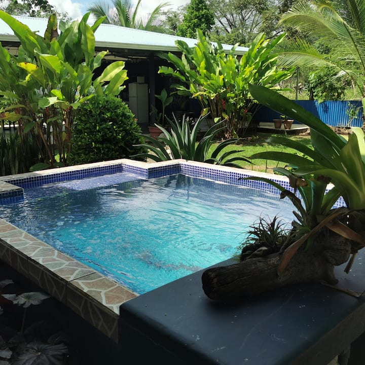 Nueva Vida Birding Paradise - Costa Rica