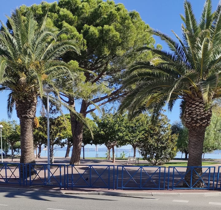 Spacieux Duplex Climatisé Face à L'étang - Martigues