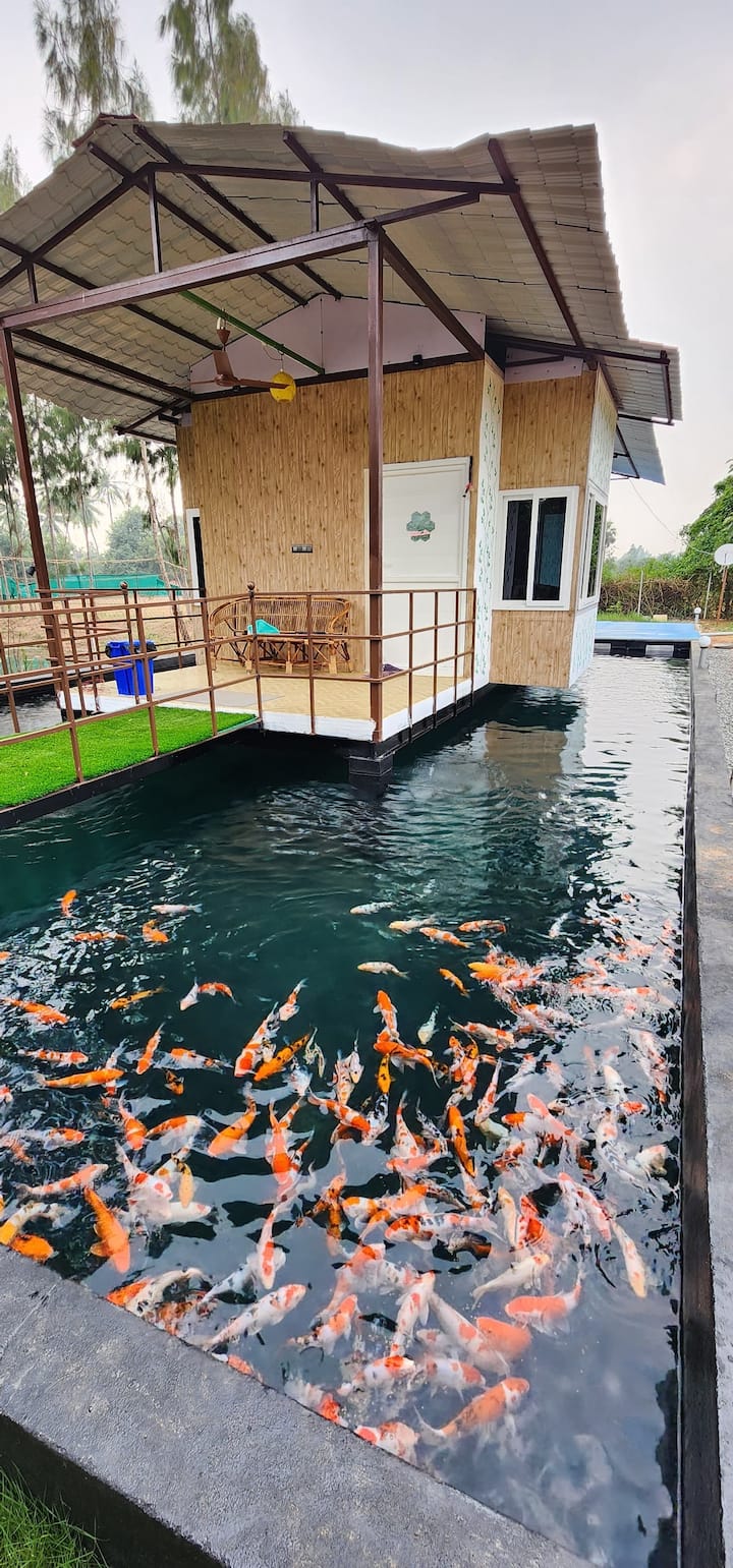 Pond House - Tindivanam