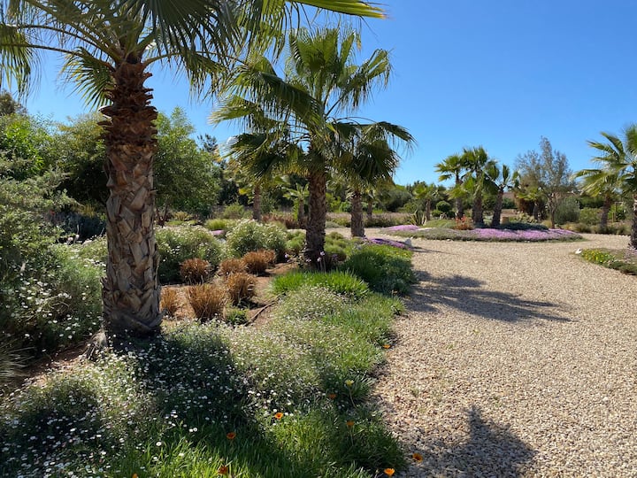 Dar Luce Et Son Jardin Remarquable - Sidi Kaouki
