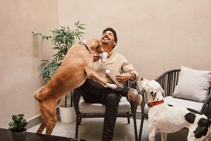 Dúplex Con Patio Interior En Centro. Grupo Premium - Malaga Province, Espagne