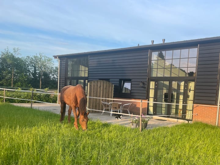 Welkom Bij B&b Hamzicht - Utrecht
