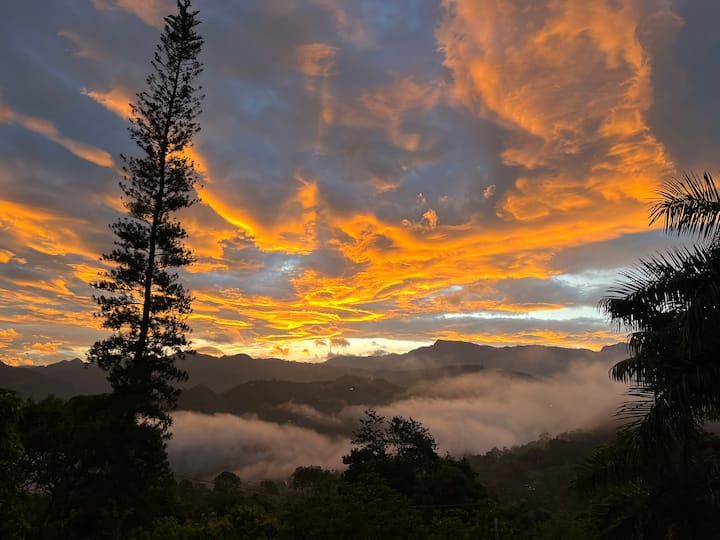 Suite En Hotel Campestre En La Vega A 1h De Bogotá - La Vega