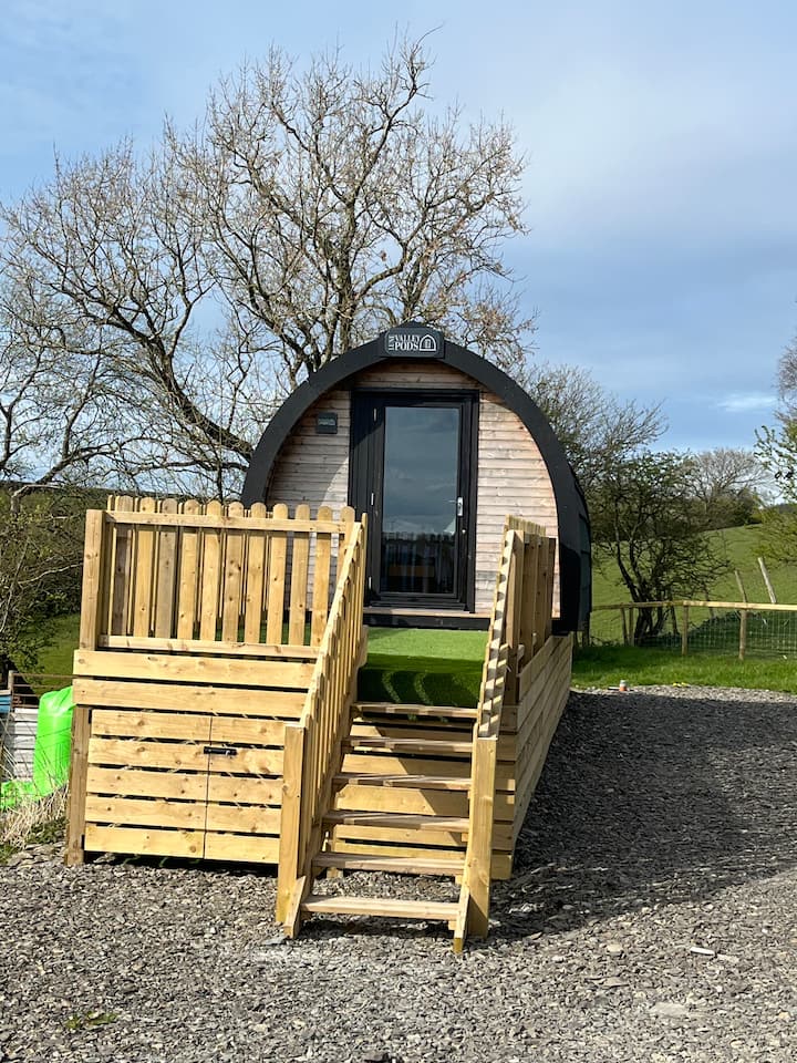 Pod (Eco) In Llanrwst. Close To  Betws Y Coed. - Snowdonia National Park