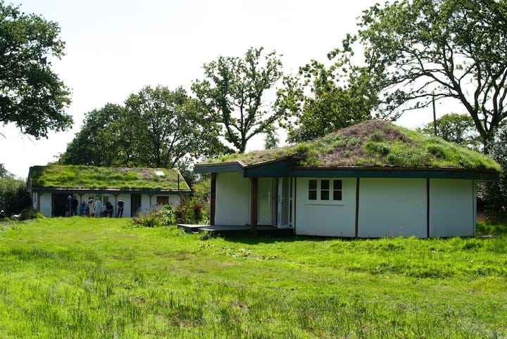 Buzzard's Nest Glamping- Walnut - Chard