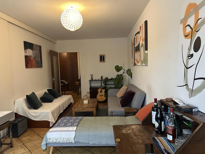 Spacious One-bedroom Flat Near Un In Geneva - Ginebra