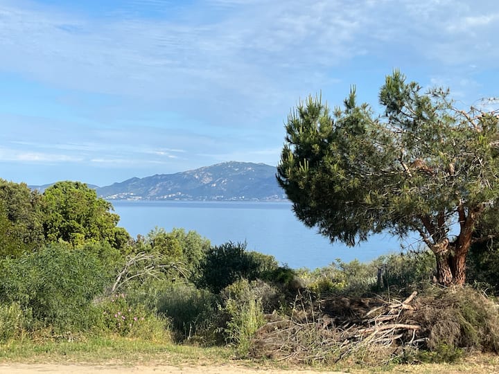 Loc A Machja Fiurita 2 - Corse-du-Sud