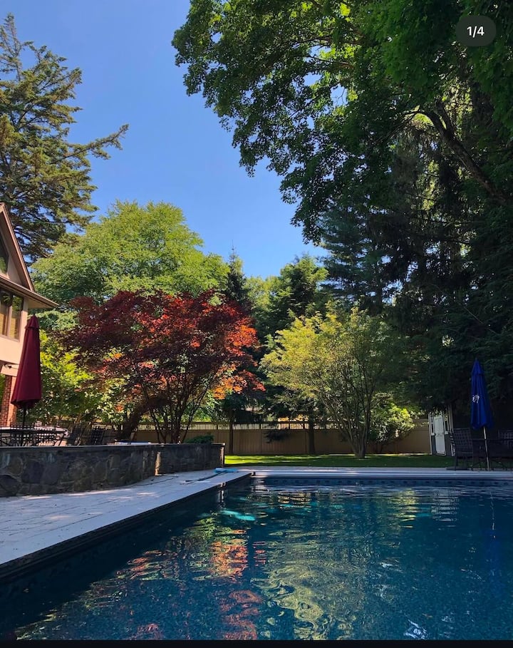 7 Bedrooms/3.5 Baths 6000 Sq Ft. - 스프링필드