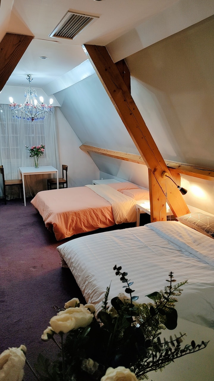 Gagny 、Bondy、paris、disneyland Paris半个小时 4人间免费停车 - Nogent-sur-Marne