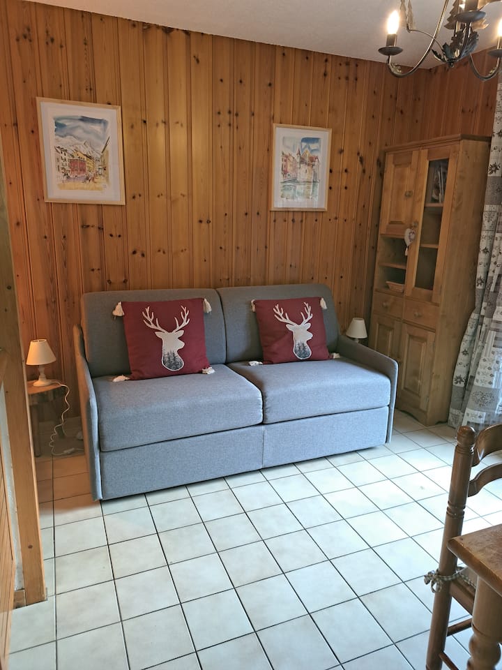Appartement De Montagne - Taninges
