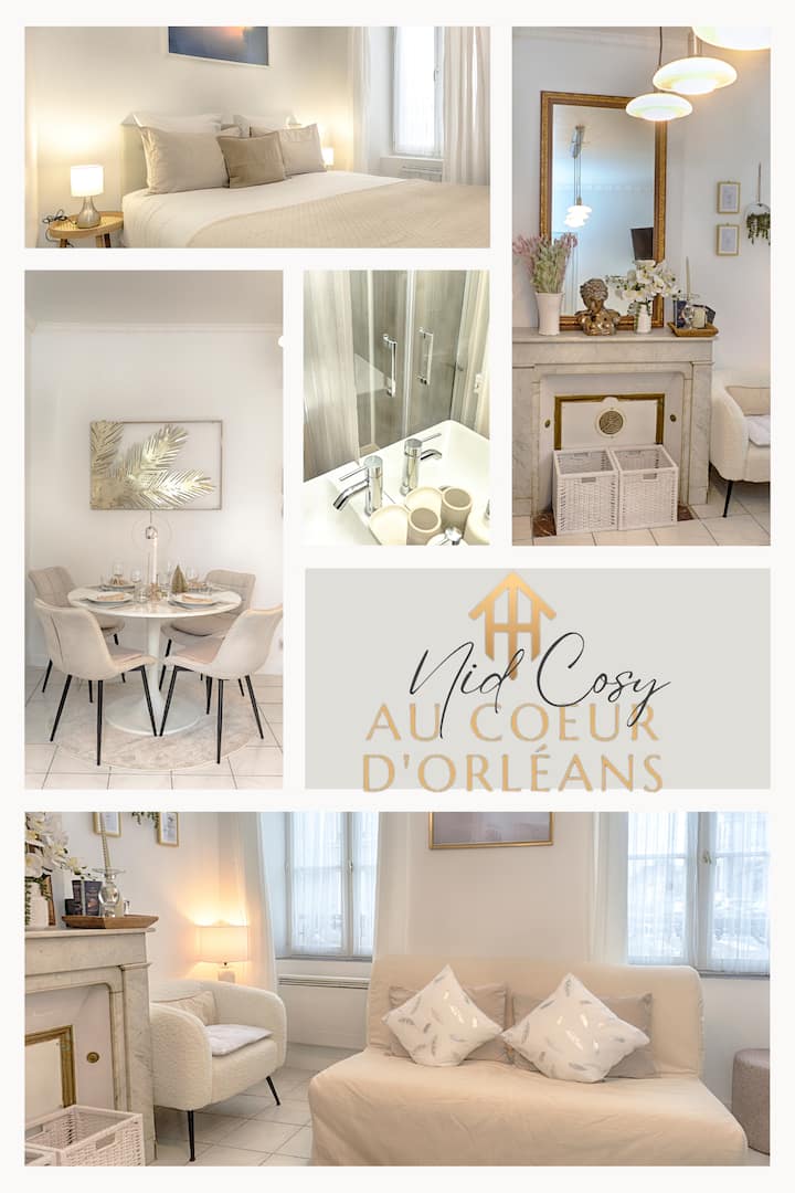 Le Nid Cosy, Private Garage And Centre Within Walking Distance - Orleans