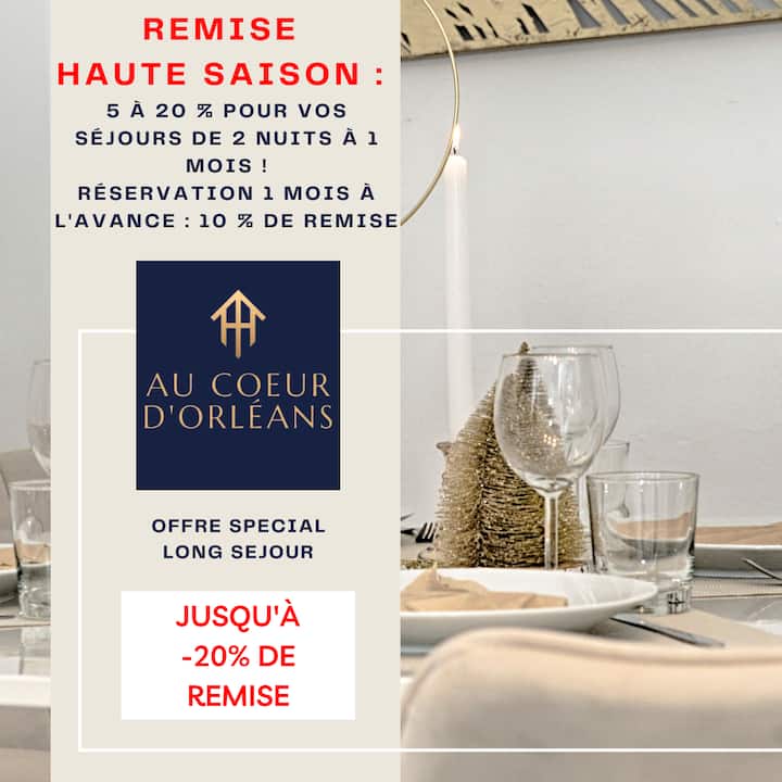 Le Nid Cosy- Au Cœur D'orléans - Orléans
